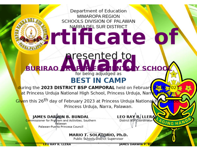 District BSP Cert Award Best | PDF