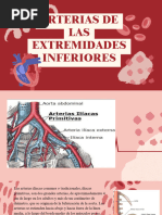 Anatomía de la Arteria Pedia del Pie | PDF | Pie | Dedo del pie