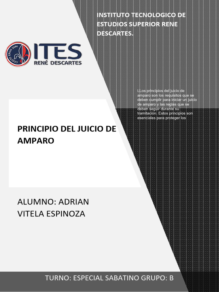 Principios Del Juicio de Ampro | PDF | Caso de ley | Violación