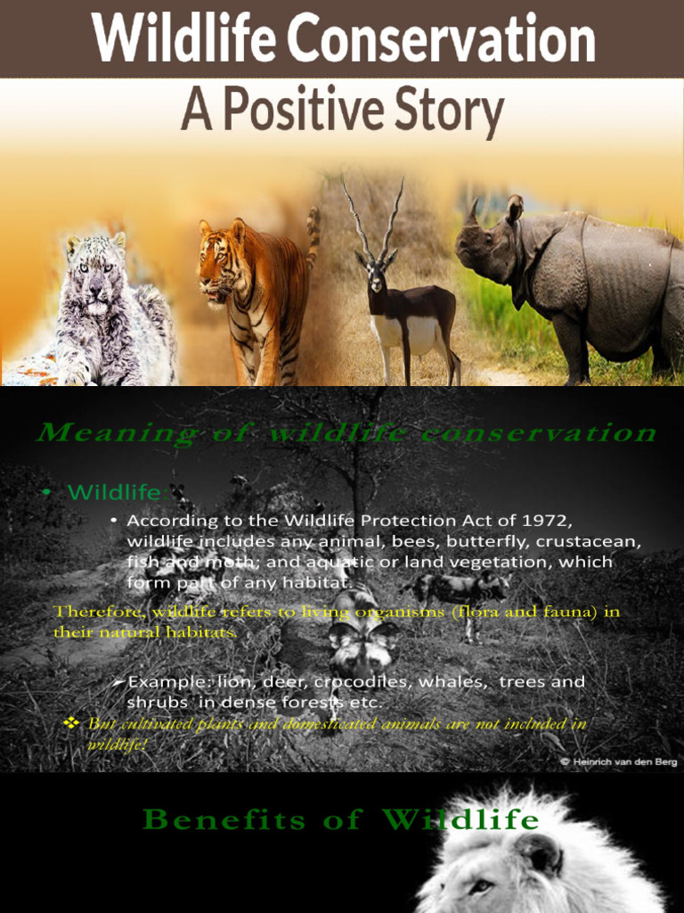 Wildlife Conservation PPT New | PDF | Poaching | Crime & Violence
