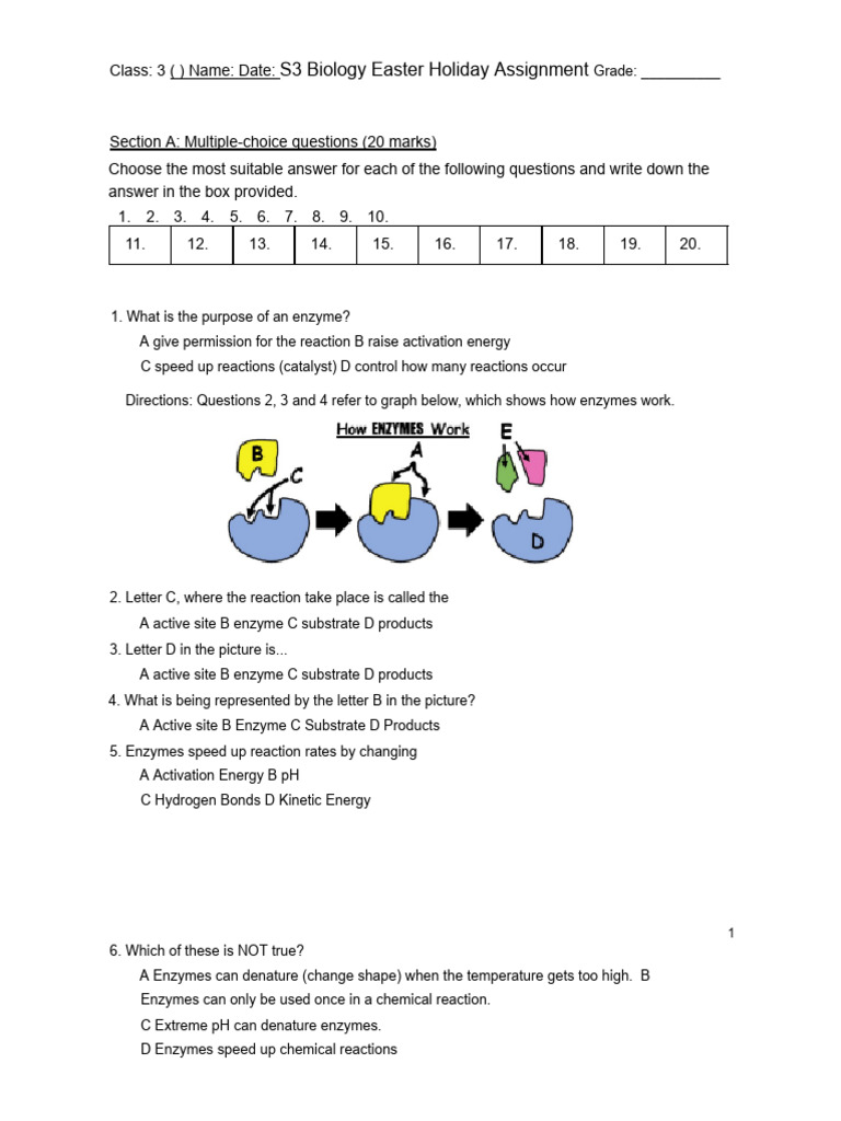 2223 - S3 - Ch05 - Special Holiday Assignment - Student | PDF | Enzyme ...