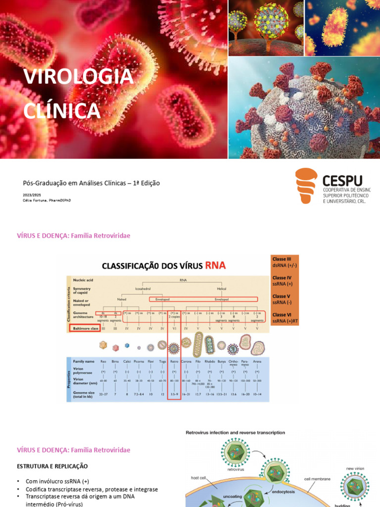 Retrovírus: Estrutura e Patogênese do HIV | PDF | HIV | Ciências da Vida