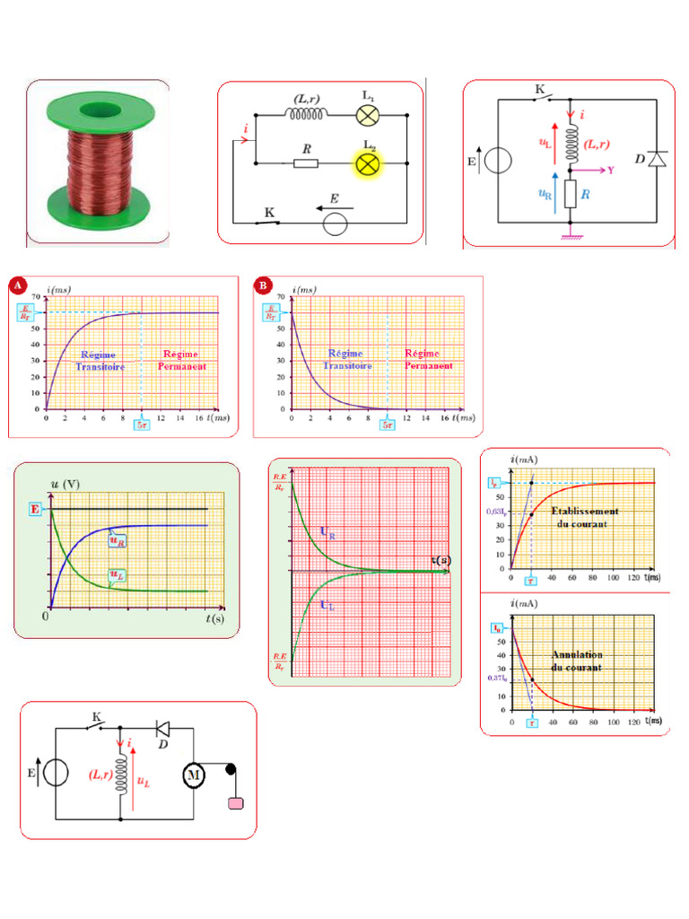 2BAC SVT RL | PDF