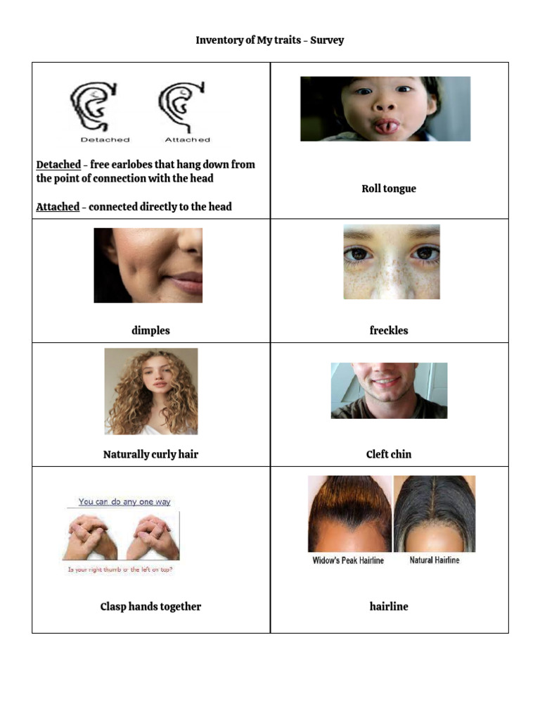 Inventory of My Traits - Explanation | PDF