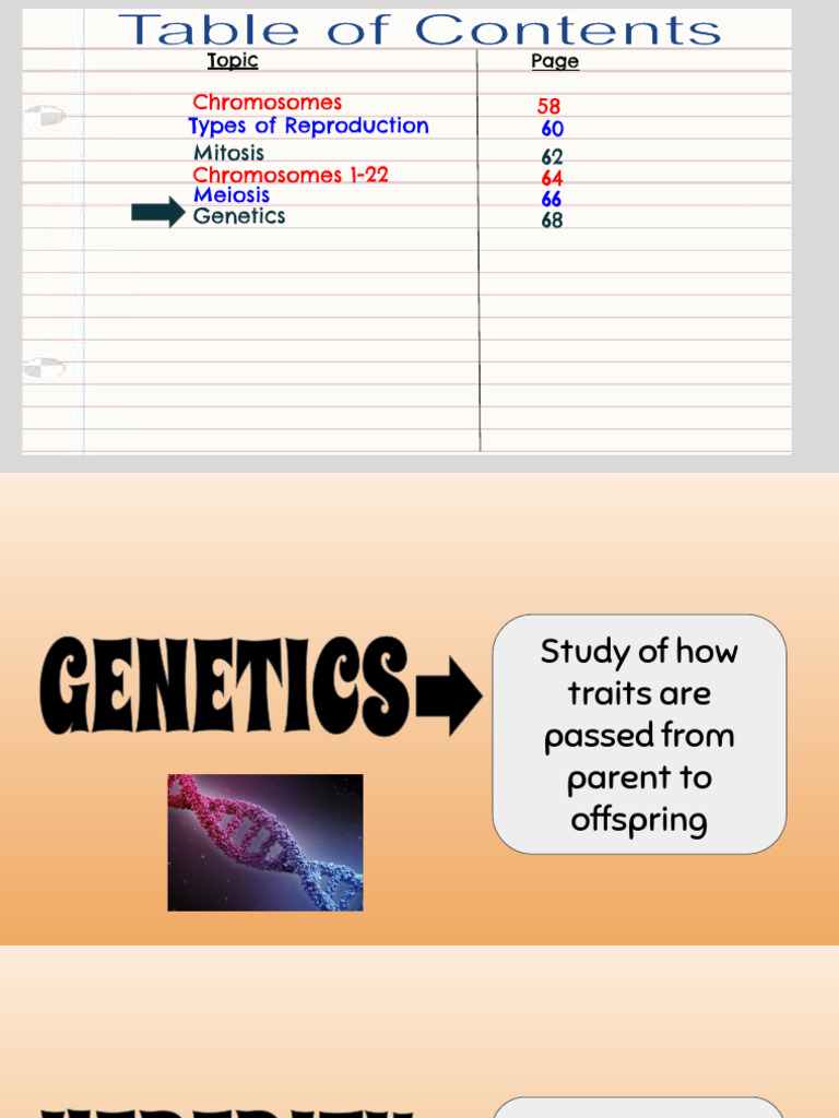 Genetic Notes 2024 | PDF