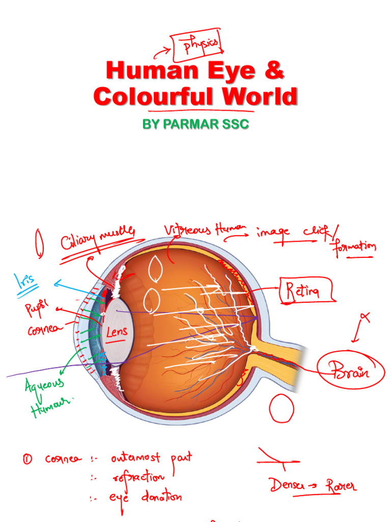 Eye Diagram for Class 10 Students | PDF