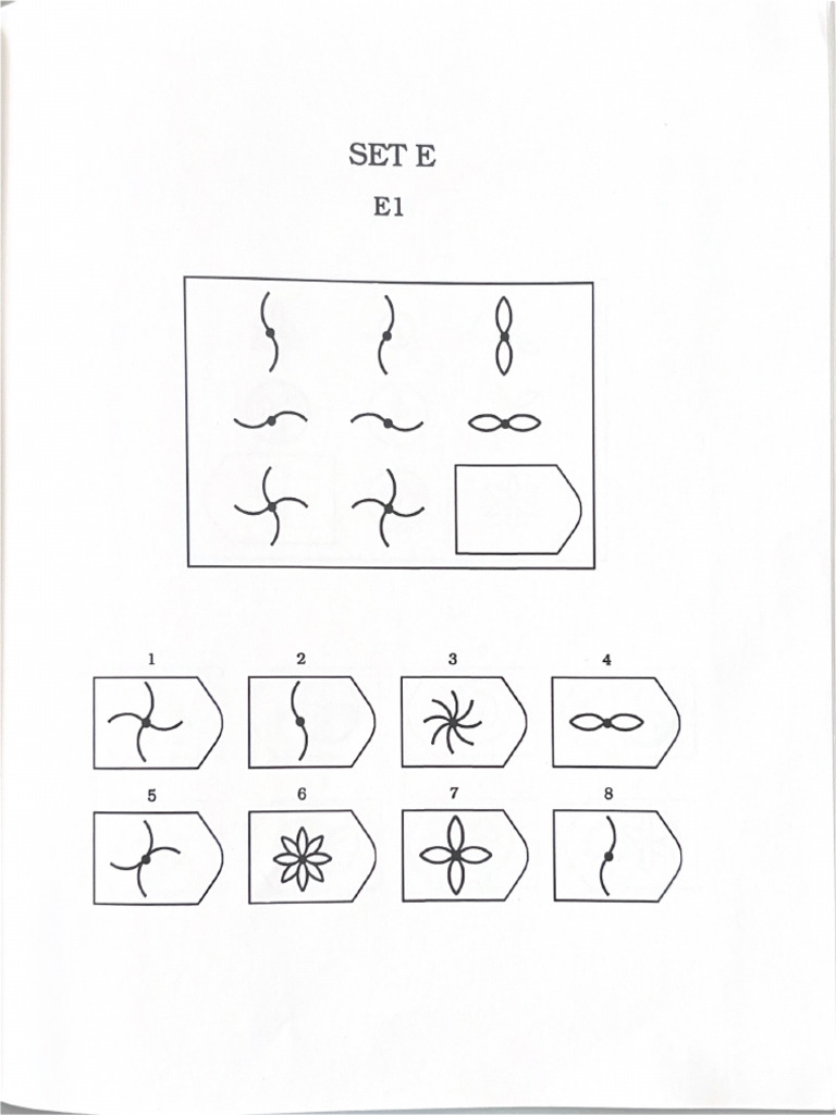 Standard Progressive Matrices E | PDF