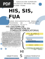 Guía de Uso del HIS MINSA en Salud | PDF | Cuidado de la salud | Medicina