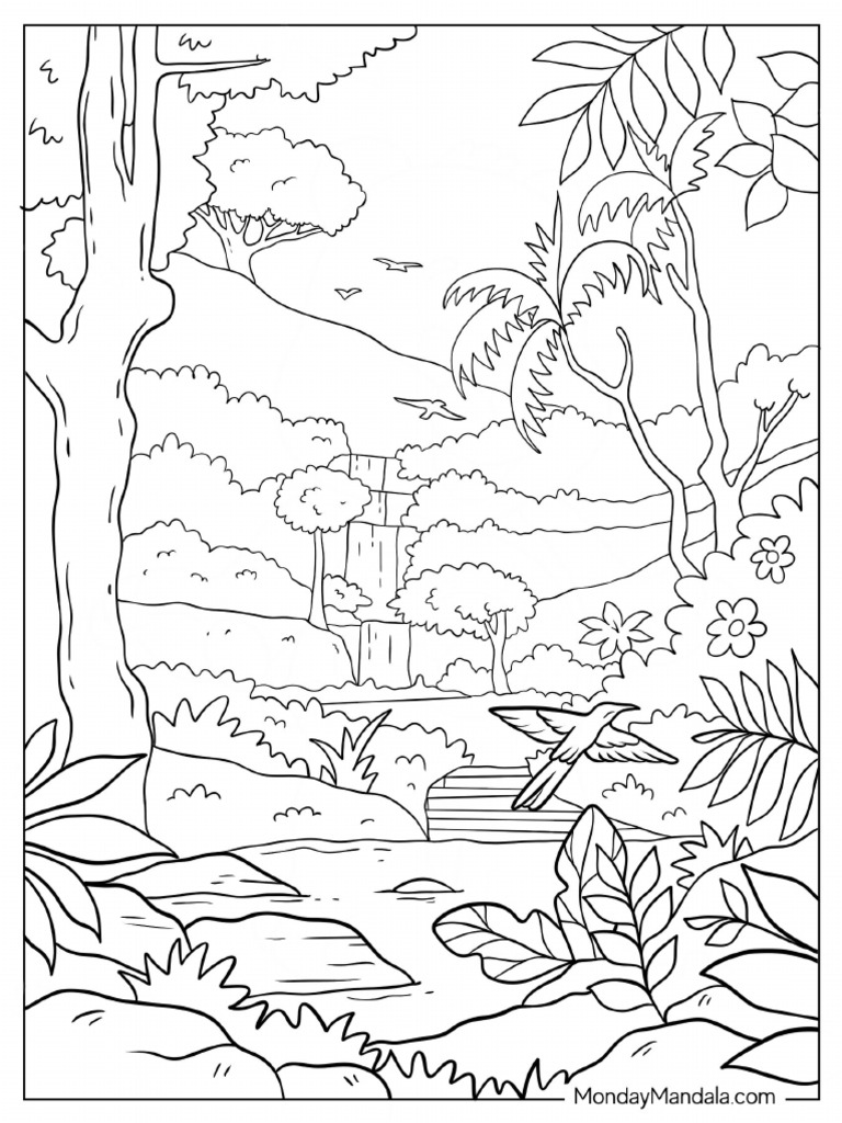 Detailed Jungle Waterfall Coloring Sheet | PDF