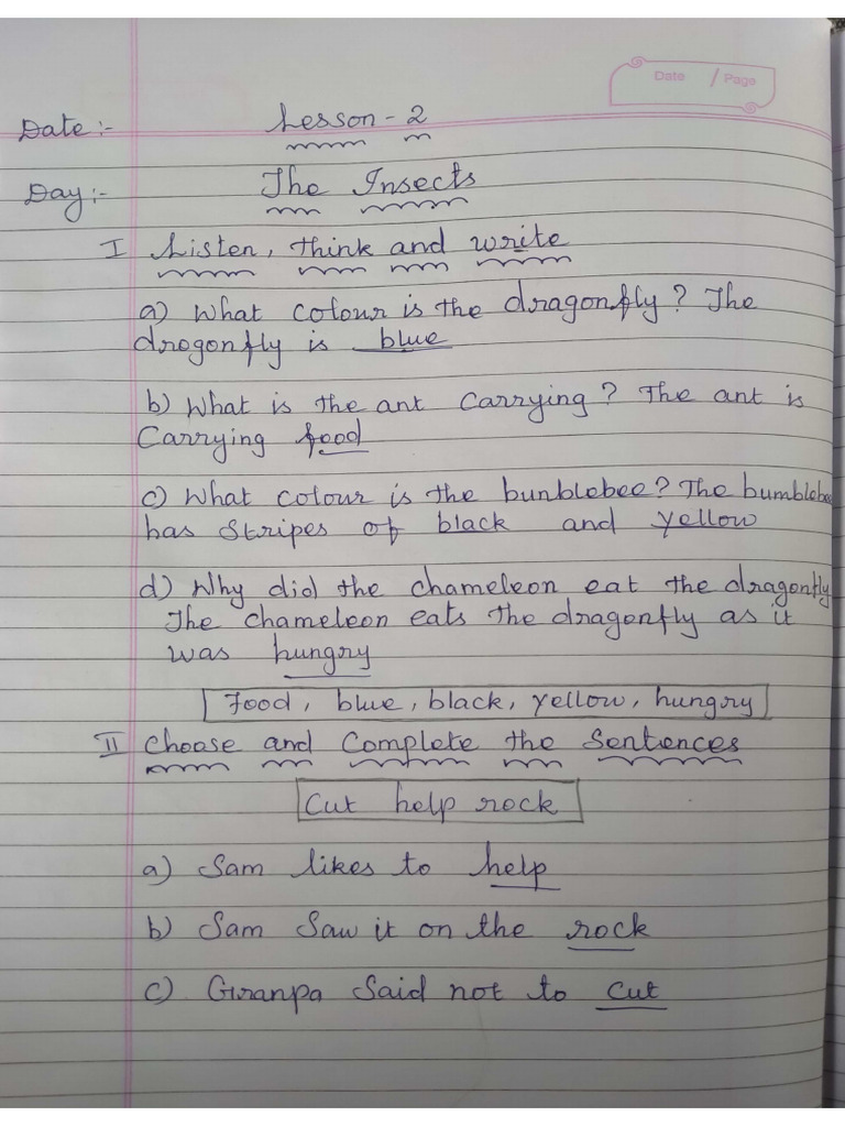 Science Lesson 2 | PDF