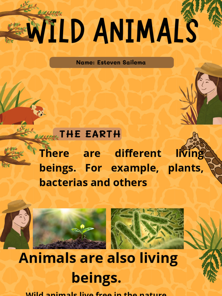 Wild Animals: Nature's Diverse Creatures | PDF