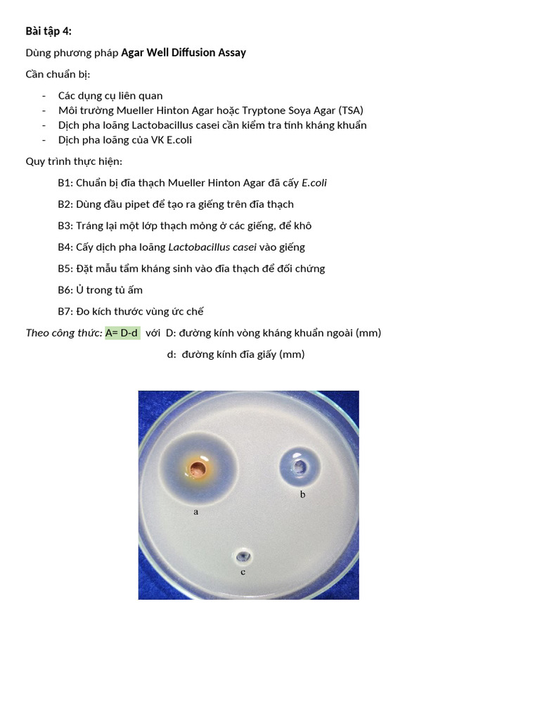 Bài 4,5 VSTP | PDF