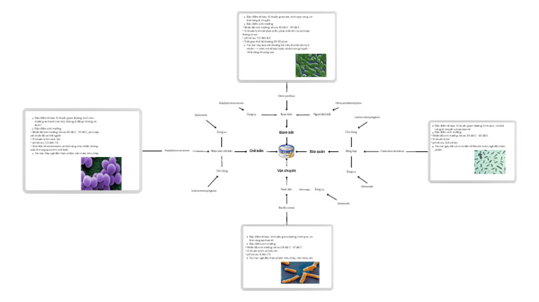 VSTP BTVN1 | PDF