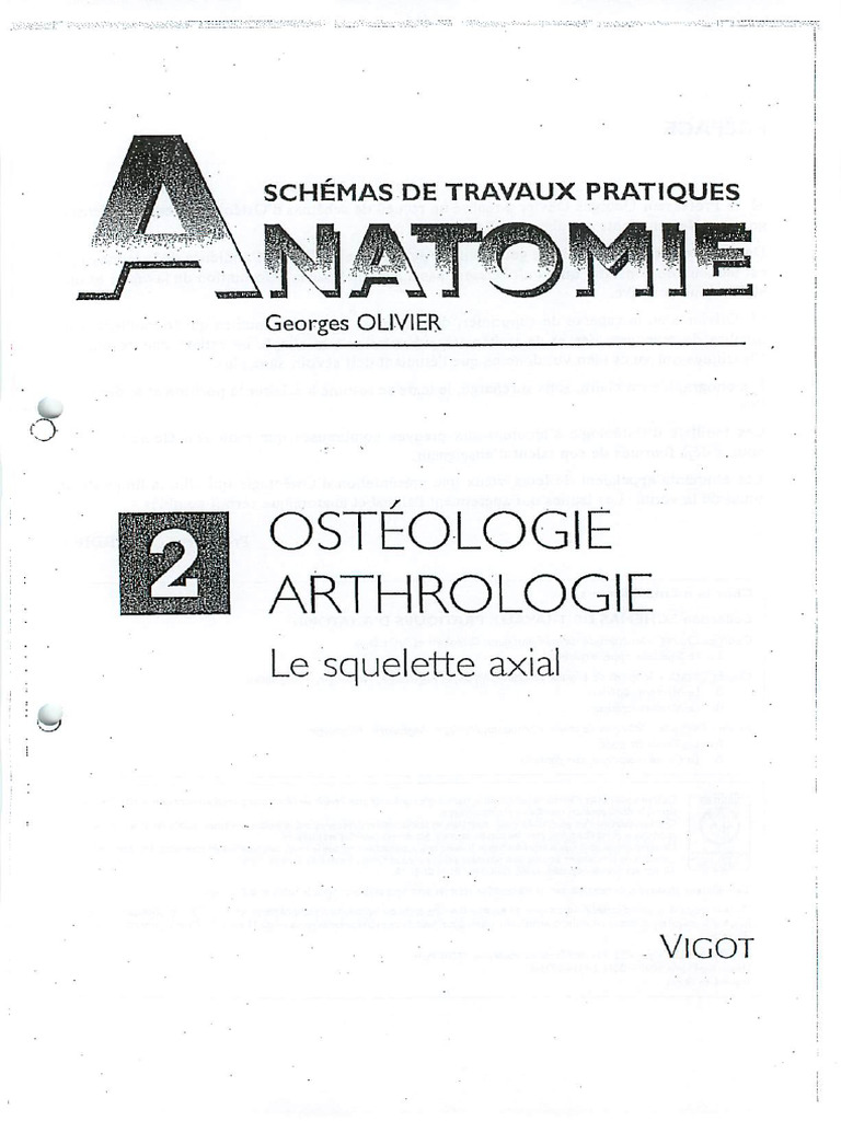 Vigot - 2 (Squelette Axial) | PDF