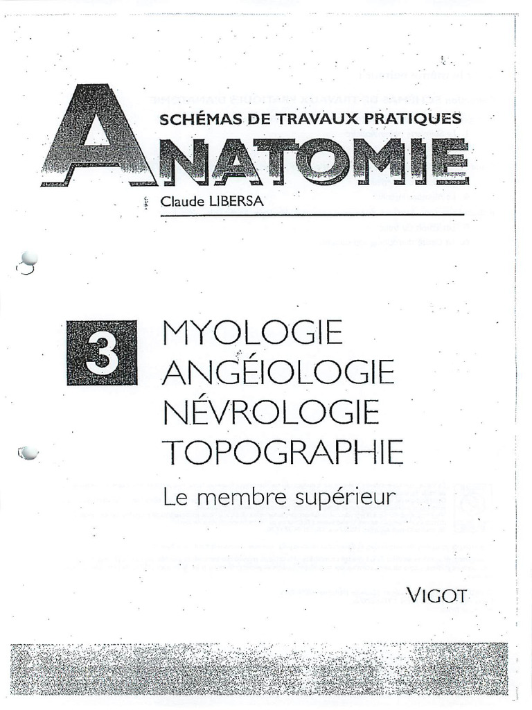 Vigot - 3 (Membre Supérieur) | PDF