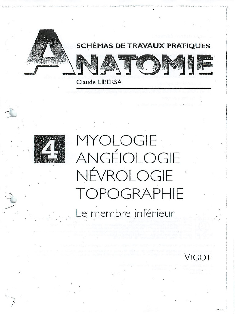 Vigot - 4 (Membre Inférieur) | PDF