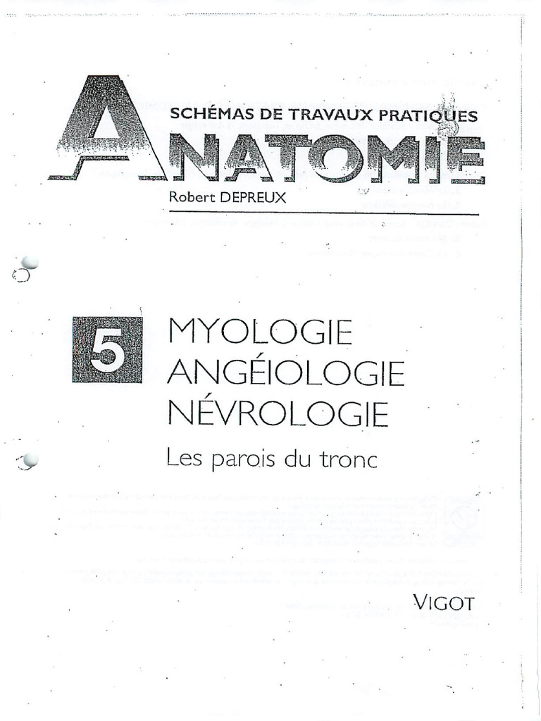 Vigot_5 (Parois Du Tronc) | PDF