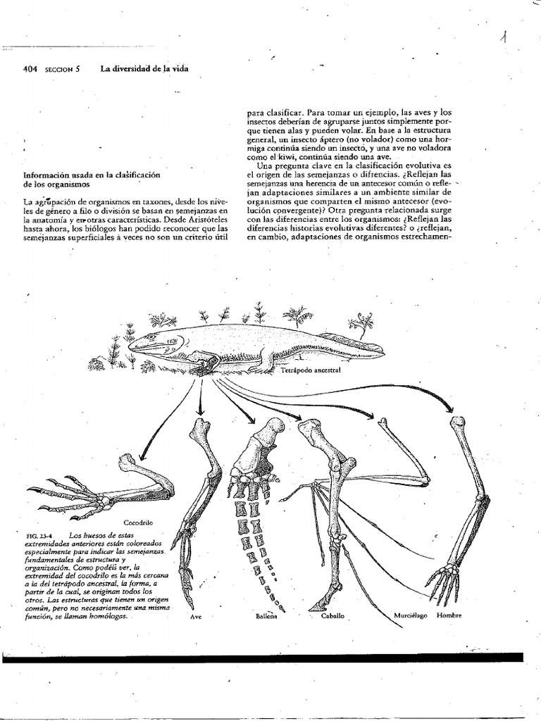 Biologia 1a13 5to | PDF