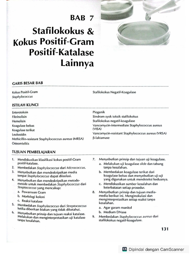 BAB 7 - Bakteri - Gram - Positif - Cocus | PDF