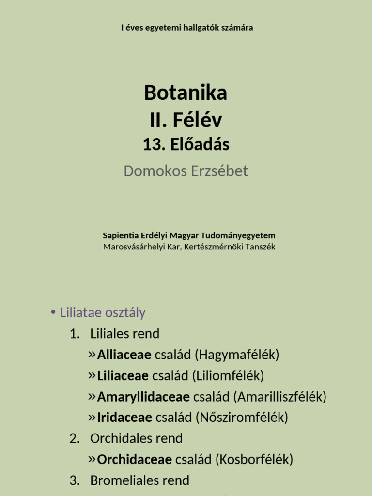 Eloadas KT Botanika II Felev 2019-2020 | PDF