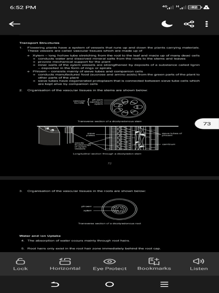 transport structures | PDF