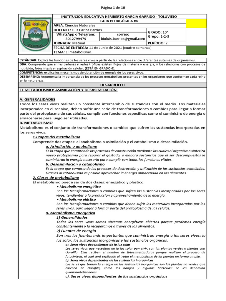 GUIA #4 Bio 10° 2p (Estudiante) | PDF | Metabolismo | Fotosíntesis