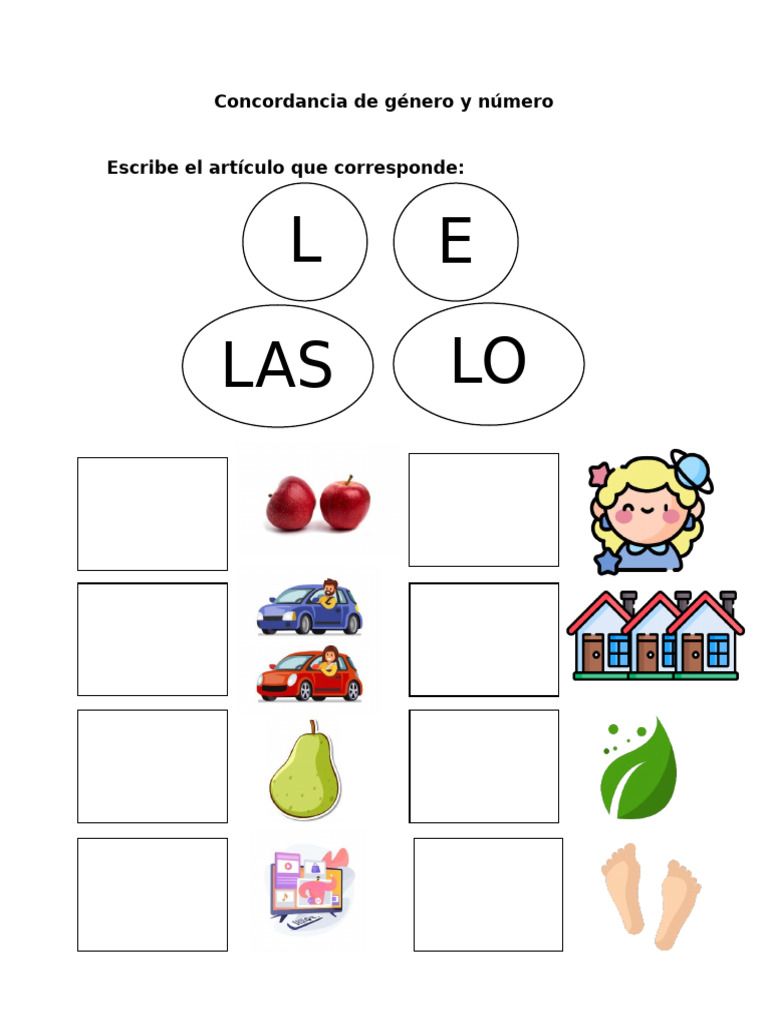 Concordancia de Género y Número CON IMÁGENES | PDF