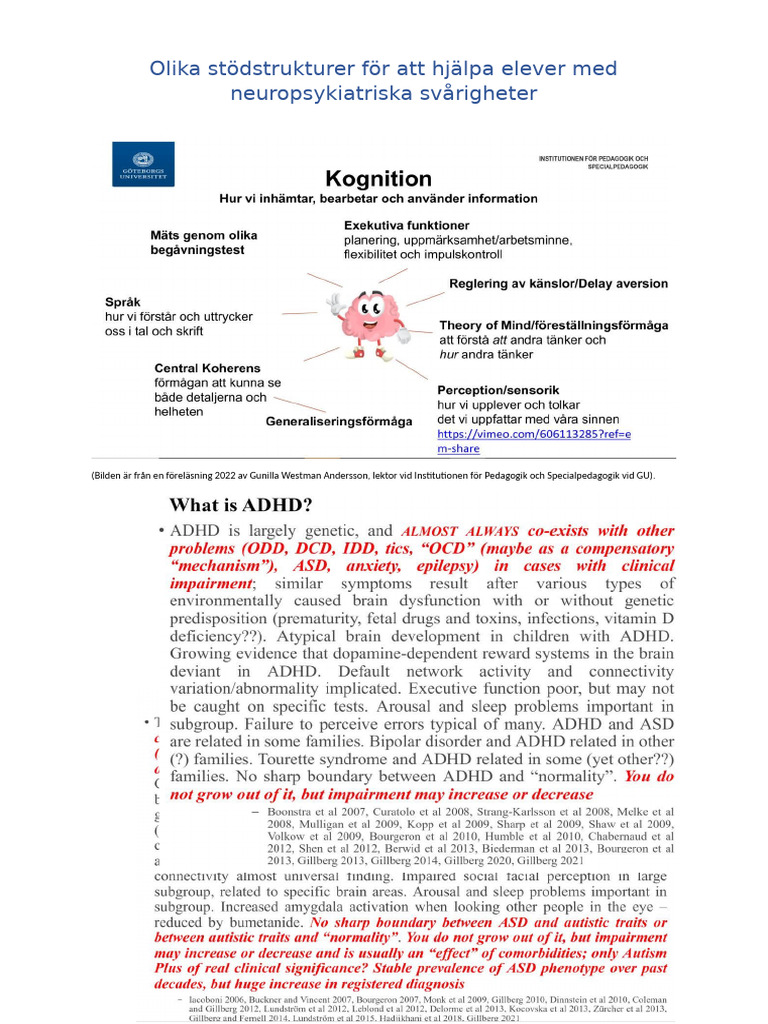 Stödstrukturer För Elever M NPF | PDF