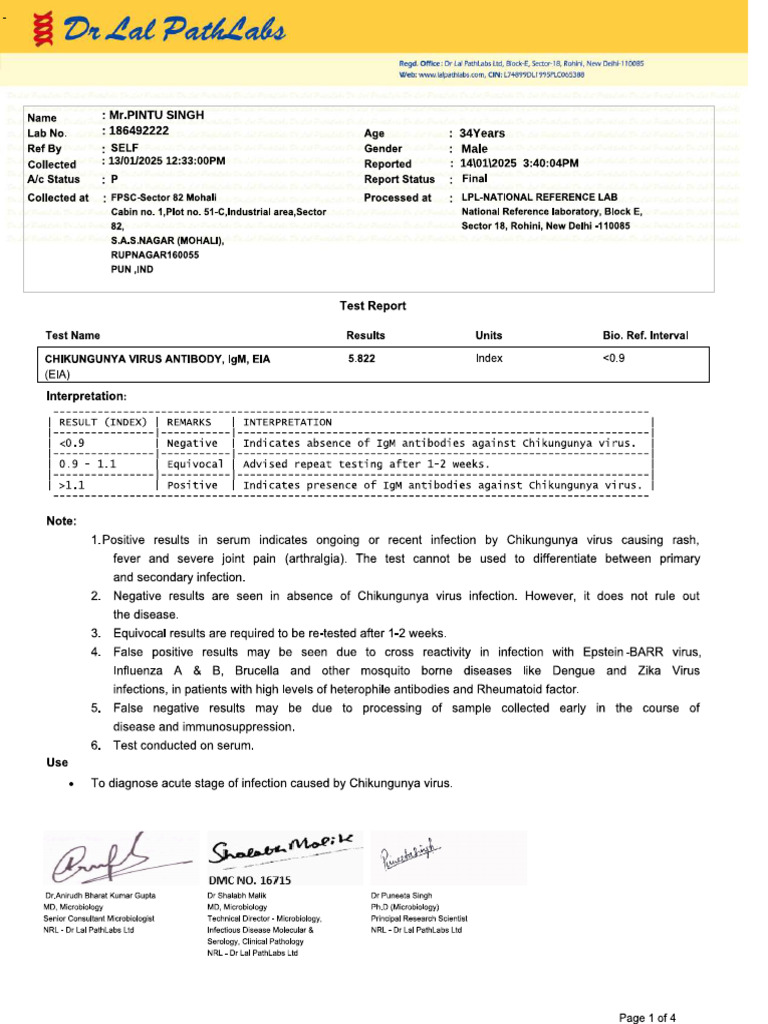 Patient Report | PDF