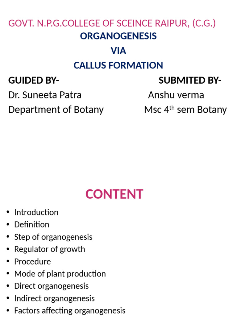 Organogenesis Via Callus Formtion | PDF | Plant Hormone | Auxin