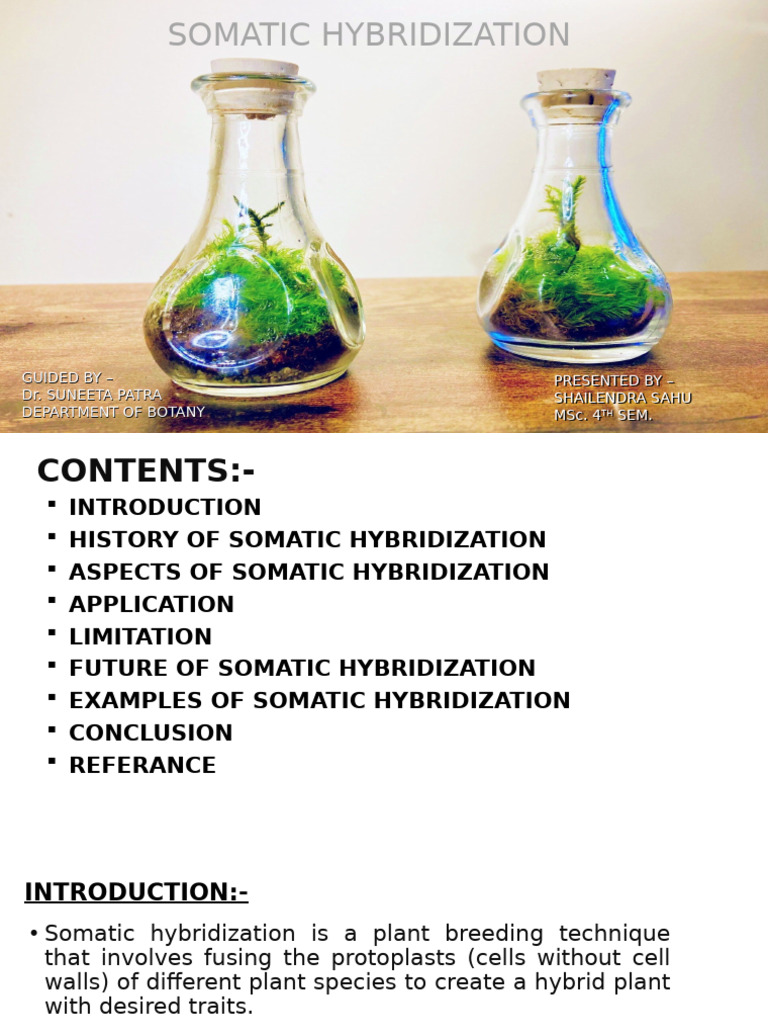 Understanding Somatic Hybridization in Plants | PDF | Plant Breeding ...