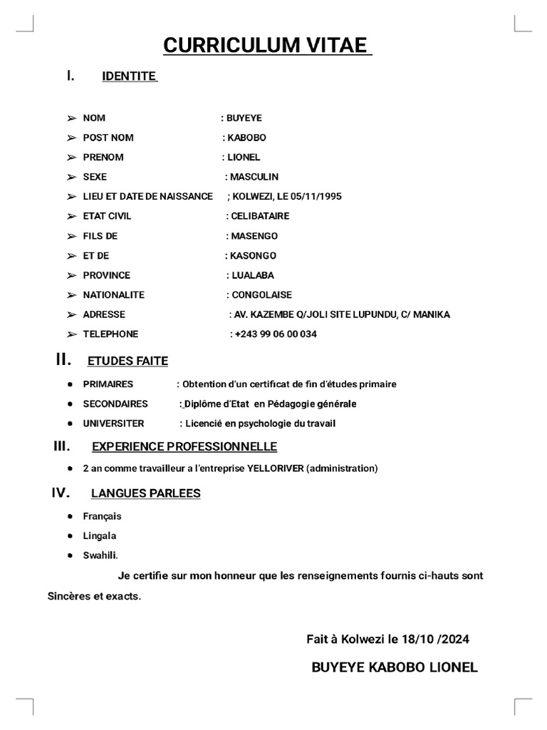 CV DJ ENOCK - Phoenix | PDF