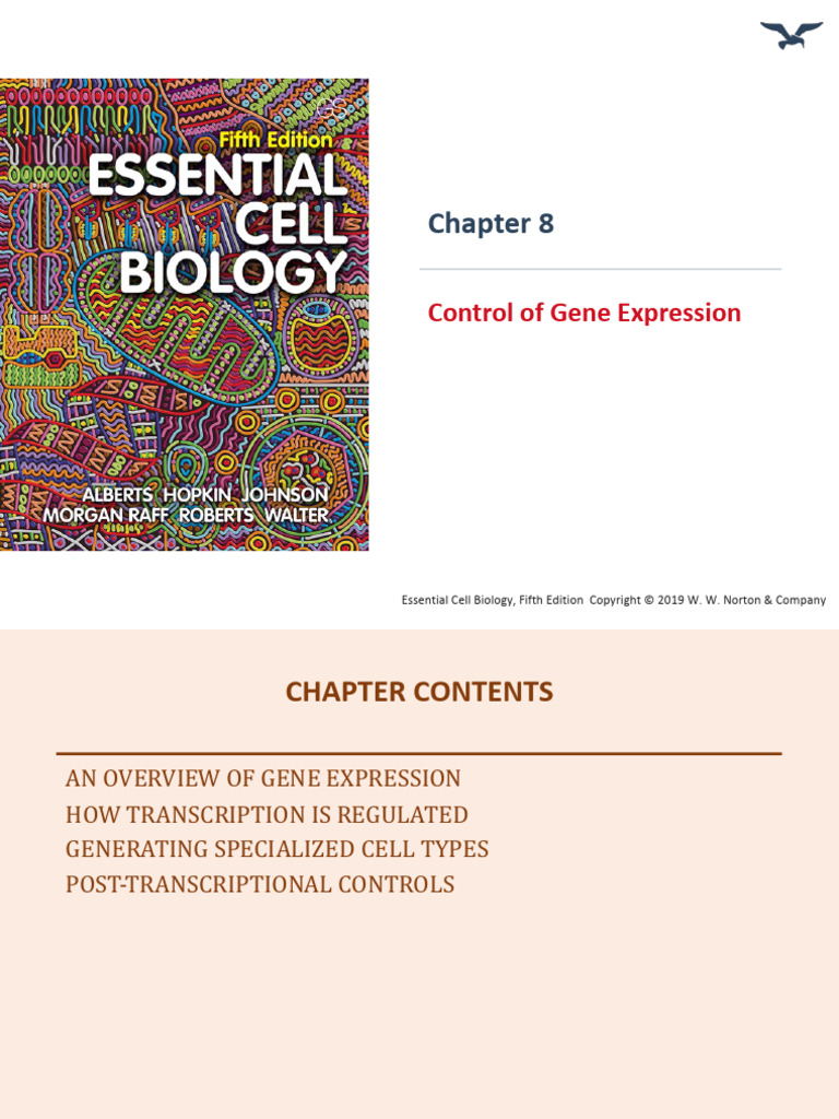 Ac-Escellbio5 Lectureppt Ch08 | PDF | Gene | Gene Expression