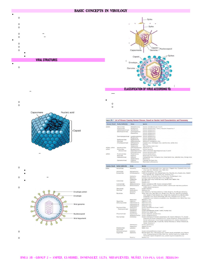 Group 2 Basic Concepts of Virology | PDF | Virus | Virology