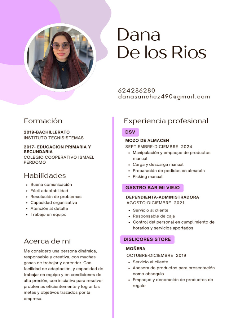 Currículum Vitae Dana de Los Rios | PDF