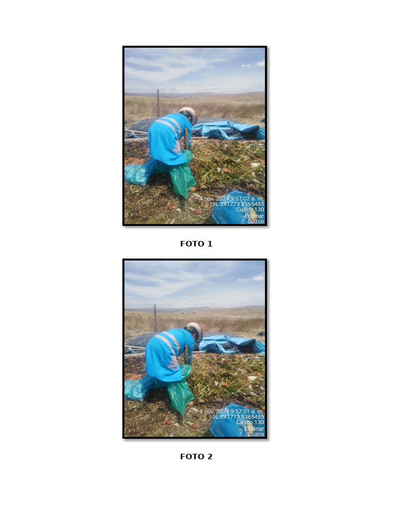 Nuria Fotos Compost | PDF