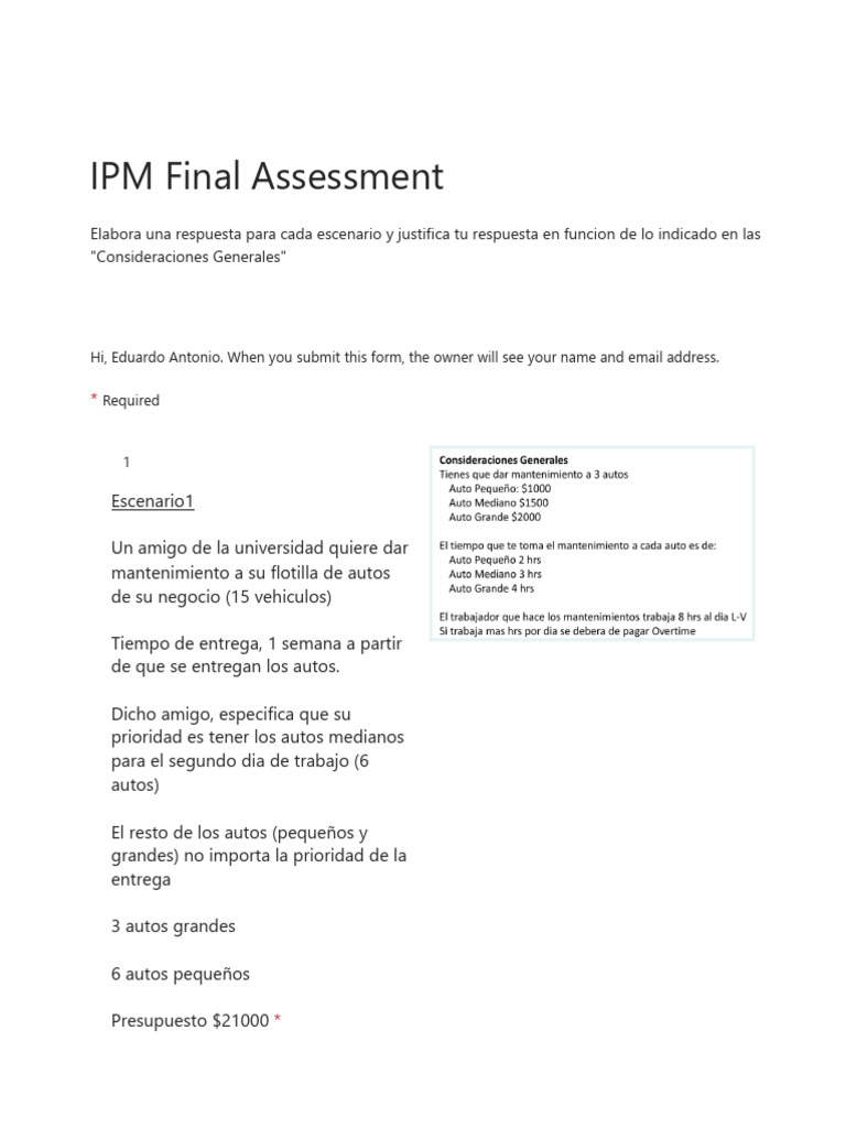 IPM Final Assessment | PDF