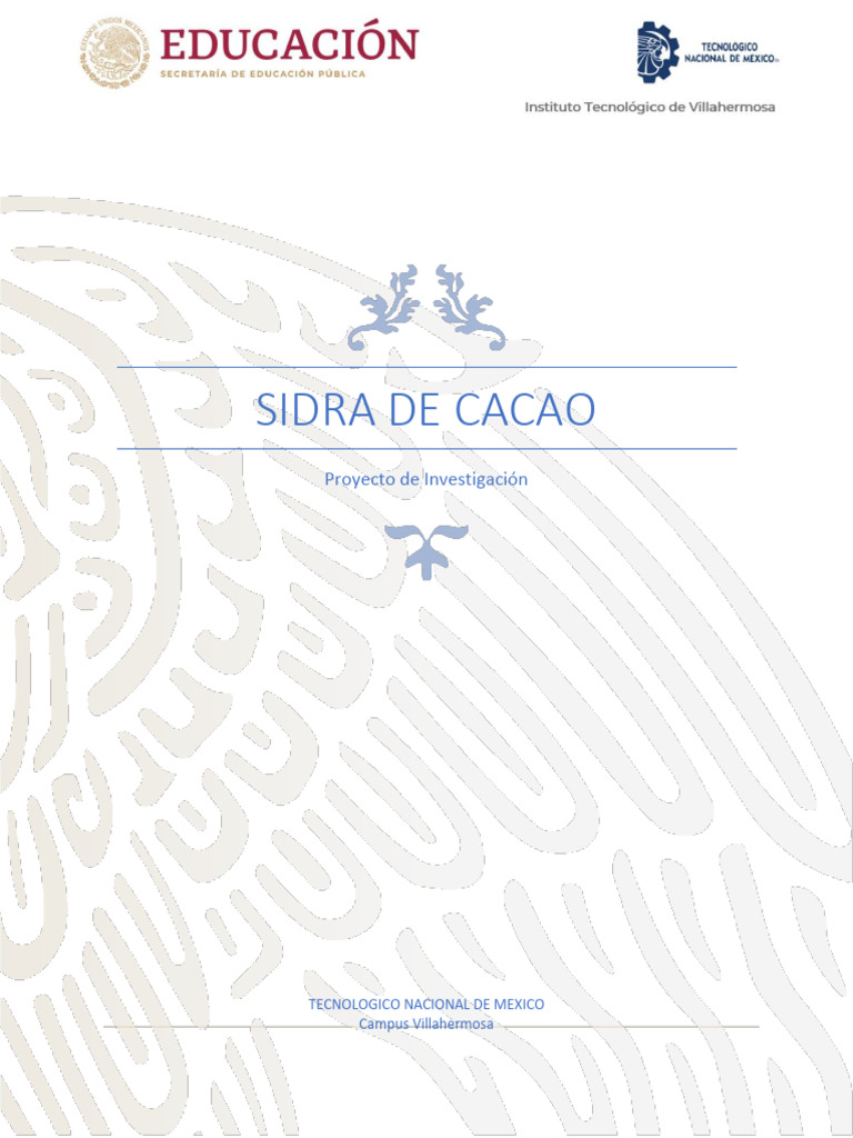 PROYECTO DE SIDRA (1) | PDF | Sidra | Chocolate