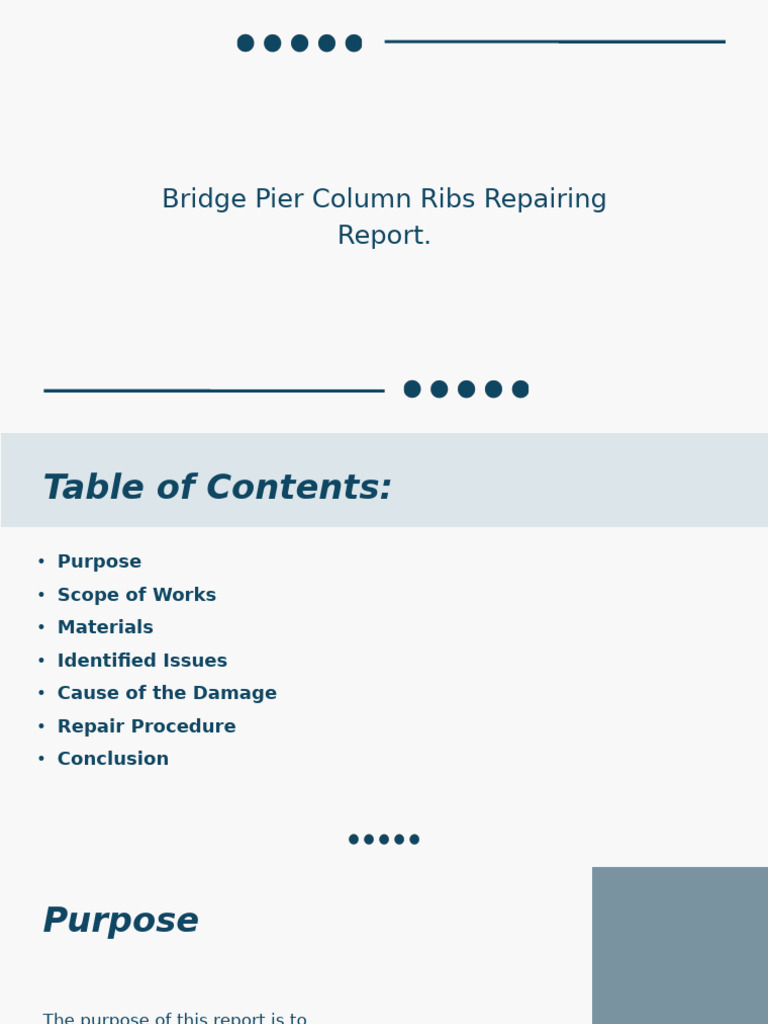 Rips Repair Report v2 | PDF
