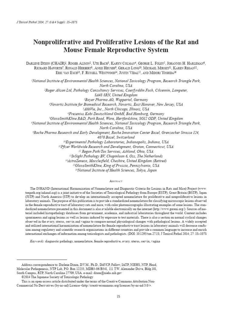 Female Reproductive Lesions in Rats and Mice | PDF | Ovary | Epithelium