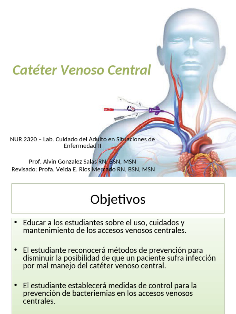 Cateter Venoso Central | PDF | Terapia intravenosa | Especialidades Medicas