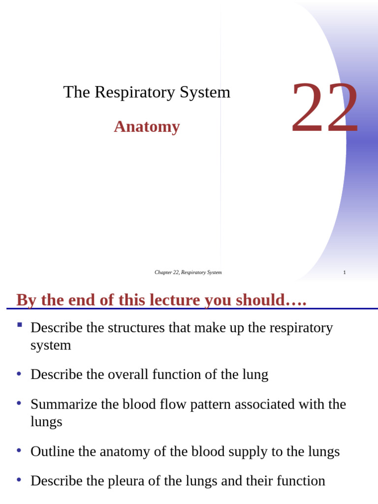 Respiratory System Part 1 | PDF | Respiratory Tract | Lung