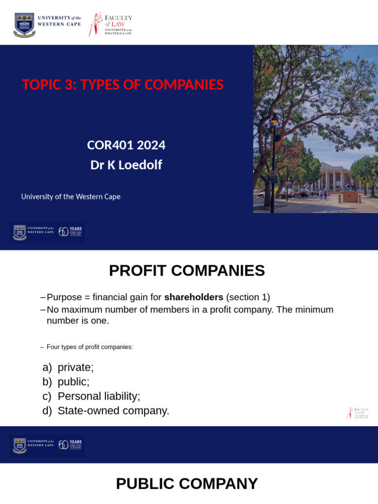 Types of Companies in South Africa | PDF | Companies | Expense