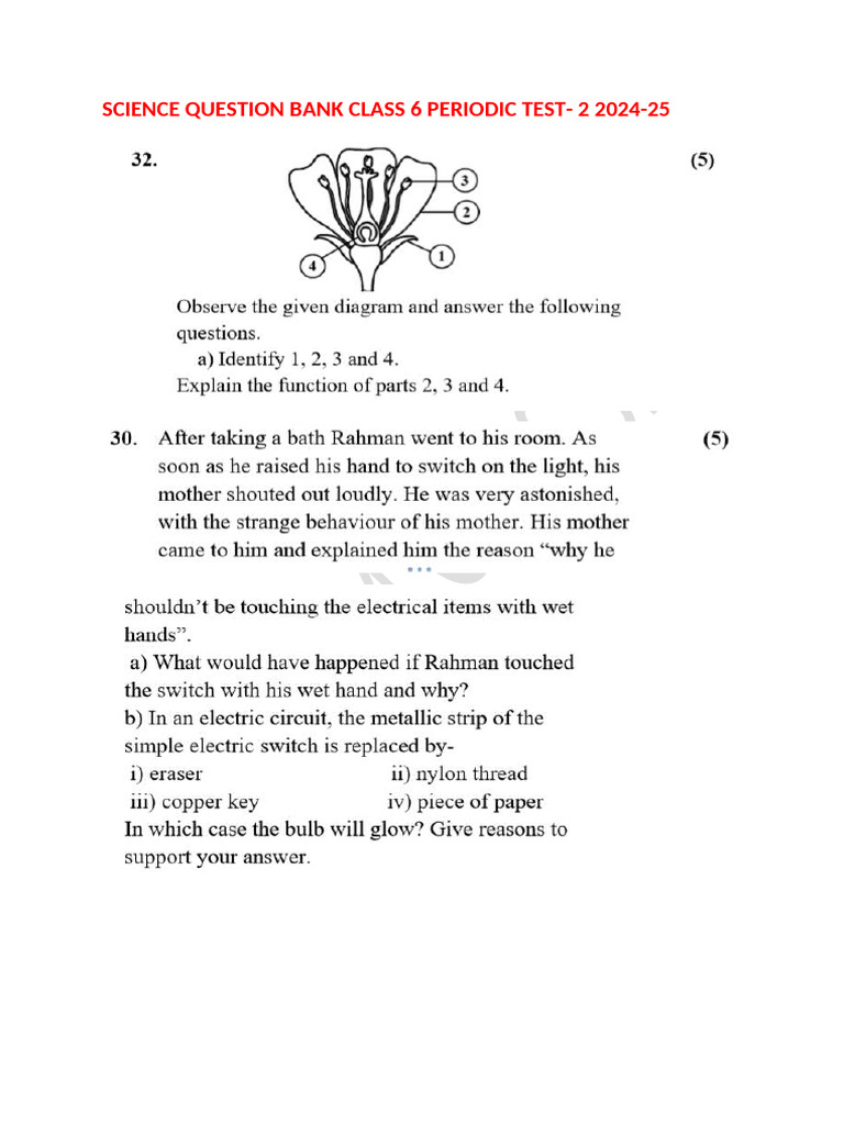 Science Question Bank Class 6 Periodic Test | PDF