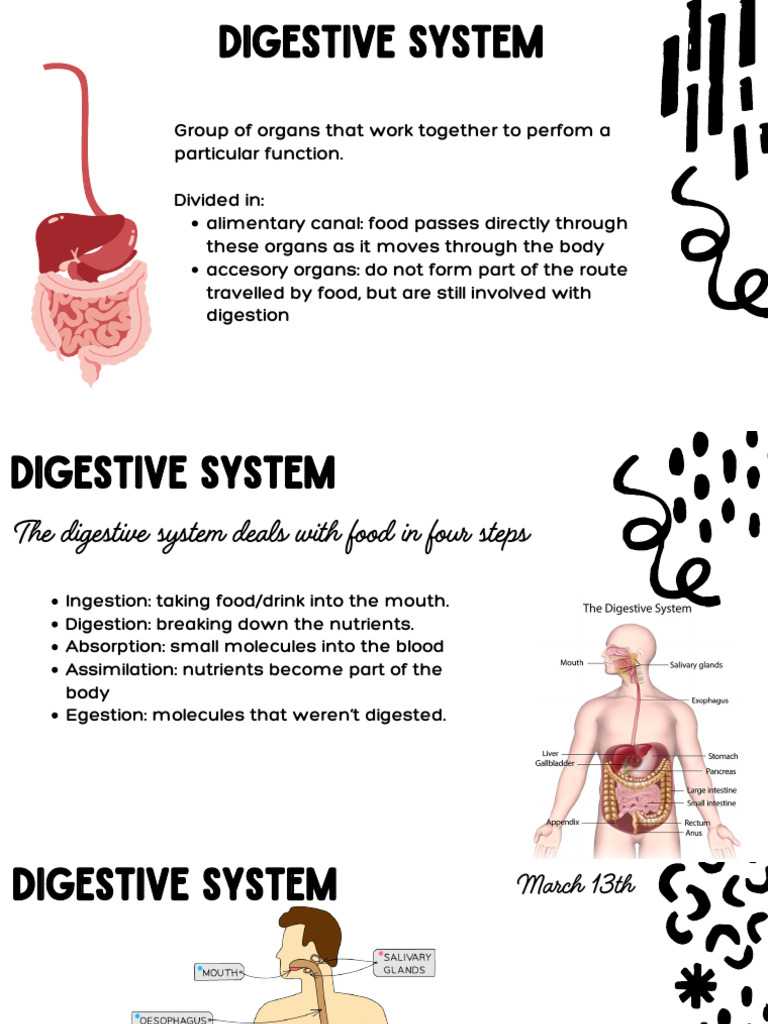 S4 Biology - 1st part of the year | PDF