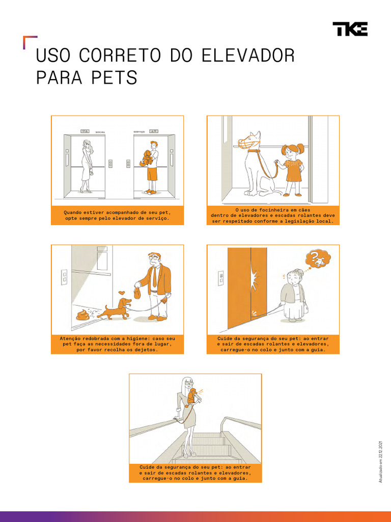 Uso Correto Elevador- PETS (2) | PDF
