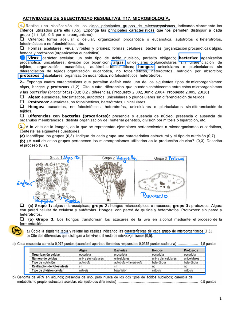 Activ Microb T.17 | PDF | Virus | Bacteriófago
