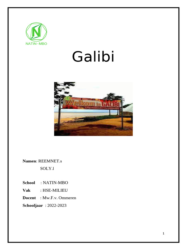 Galibi HSE Verslag | PDF