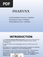 Understanding Hyperalimentation (TPN) | PDF | Nutrients | Human Nutrition