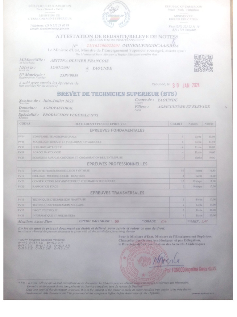 ACE Scanner - 2025 - 02 - 05 | PDF